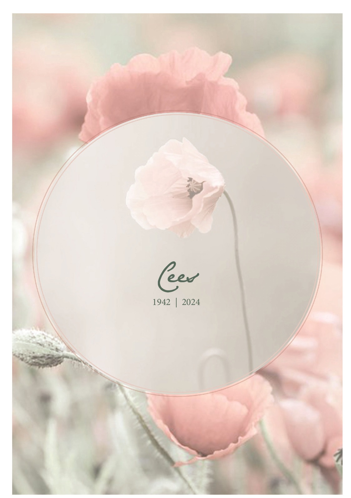 Bondsridder KNBB Cees Vink overleden | KNBB